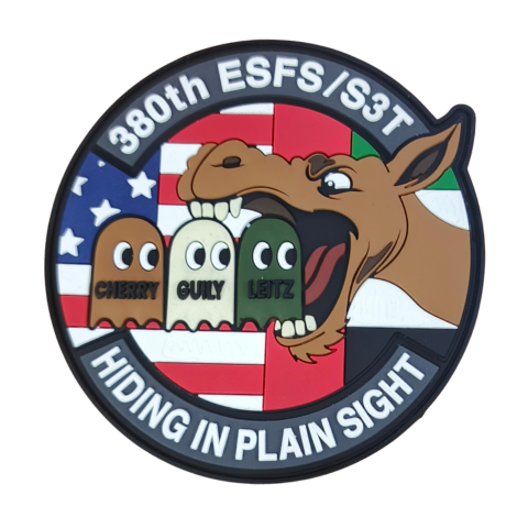 324th Training Squadron Crown – Badass Patches